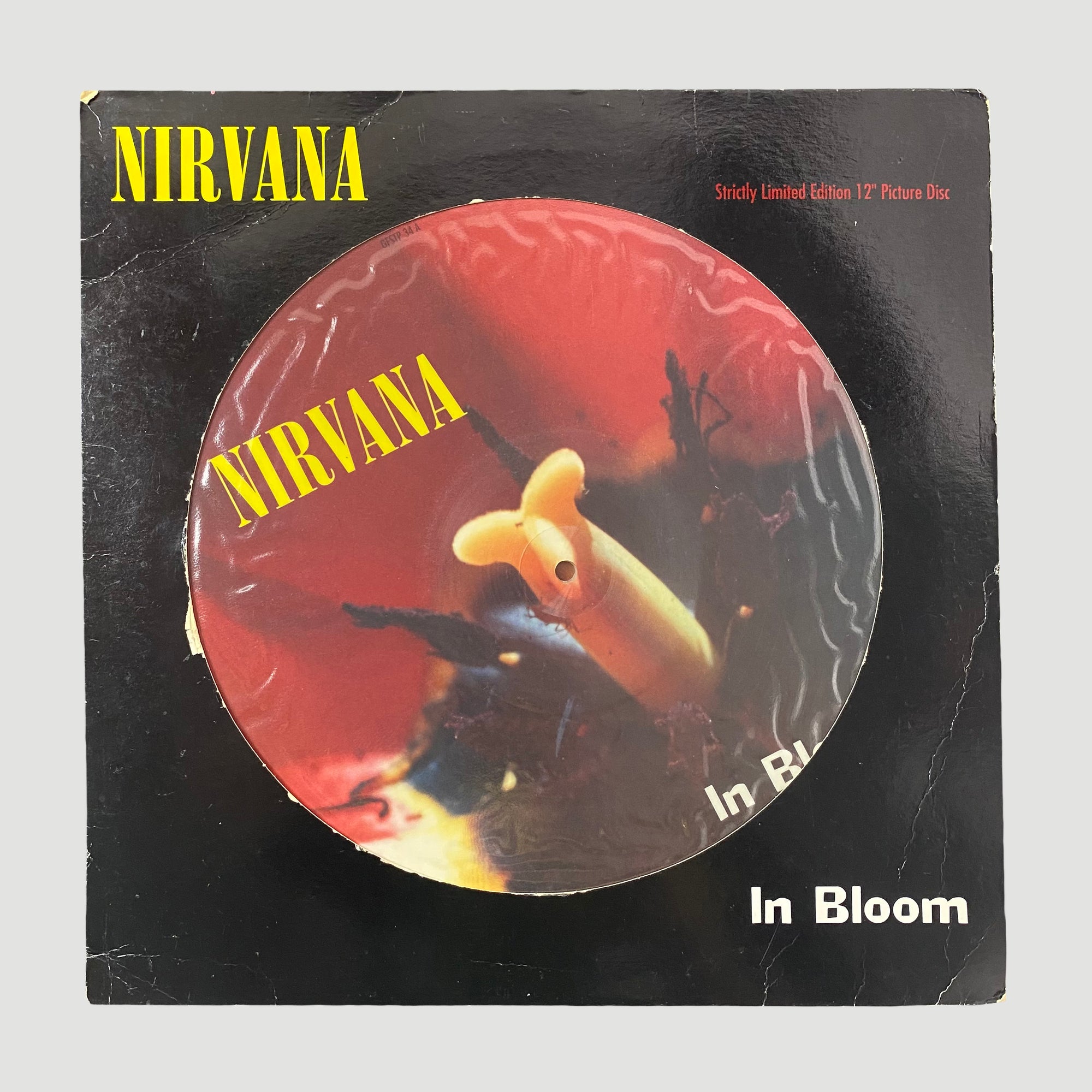Nirvana In Bloom Single